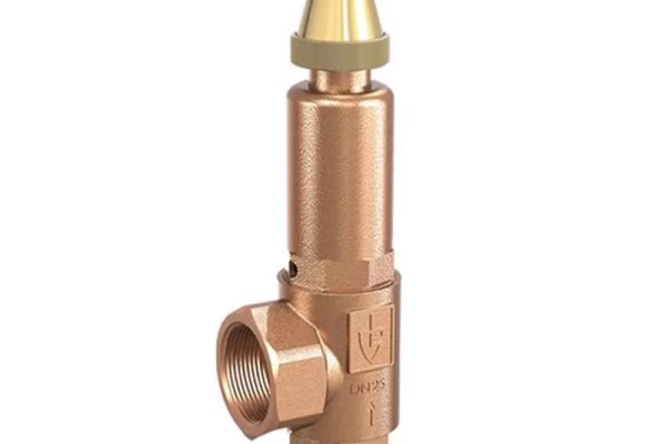Bronze Safety Valve, Threaded Connection | Fluid Control Systems